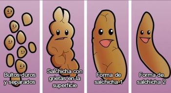 Tu CACA revela cómo está tu SALUD, ¡aprende a leerla!