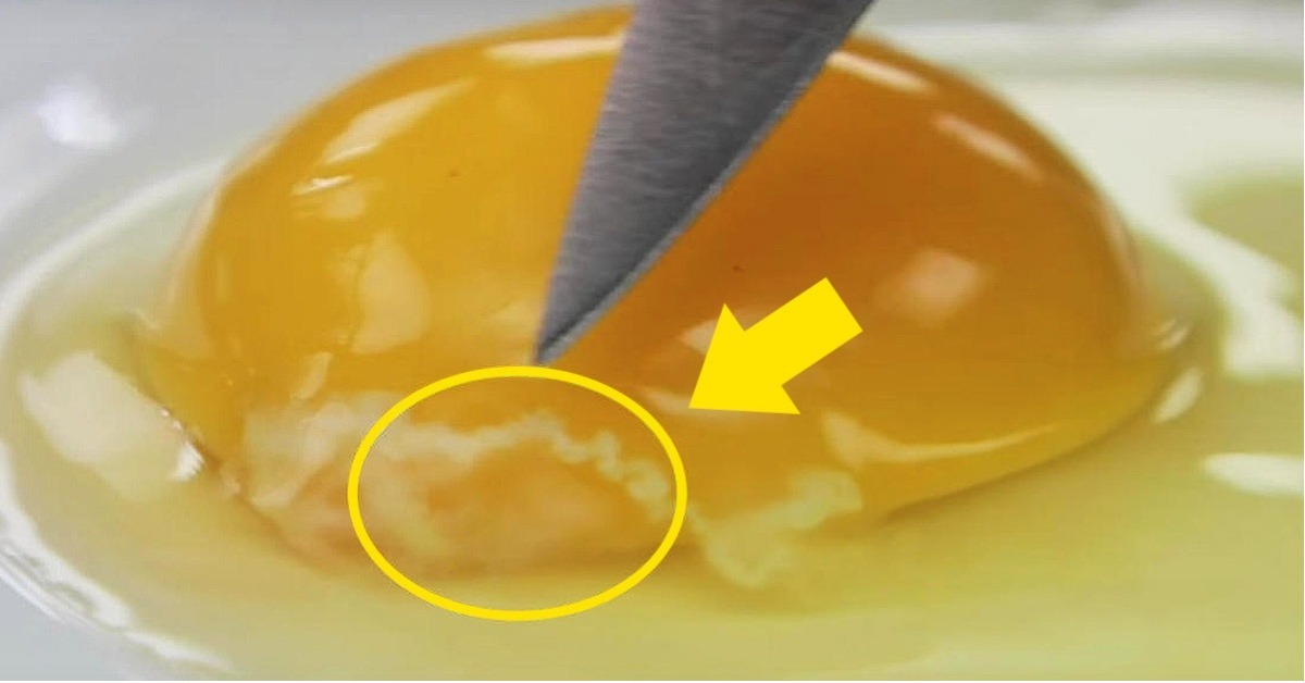 ¿Sabes qué pasa realmente si comes huevo crudo?