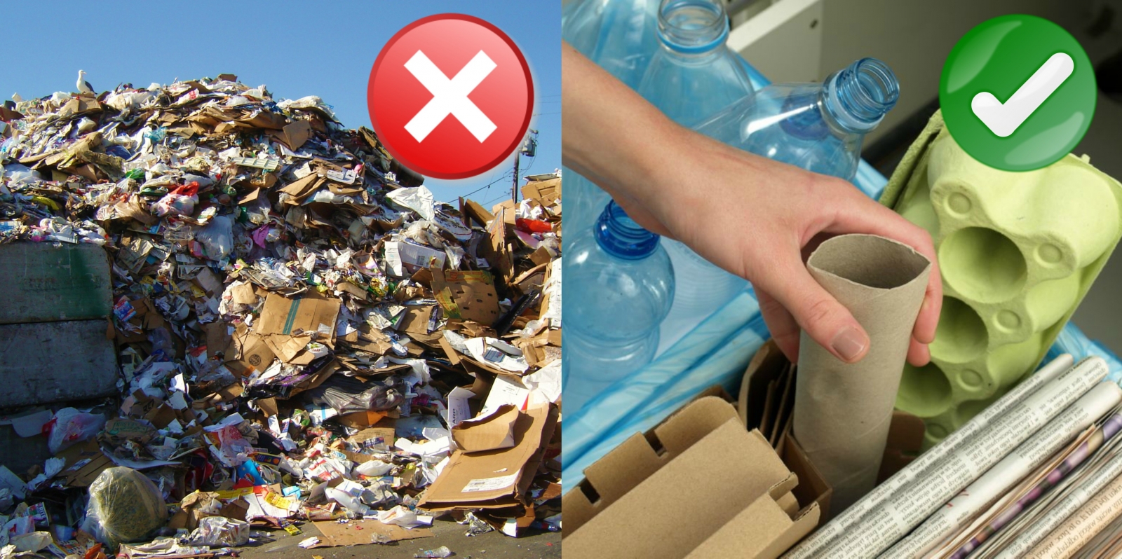 Estas son las razones por las que debes comenzar a reciclar ahora mismo
