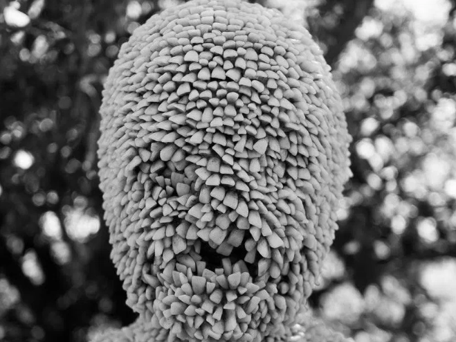 NADIE pueder VER esta IMAGEN durante más de 5 segundos, ¿qué es?